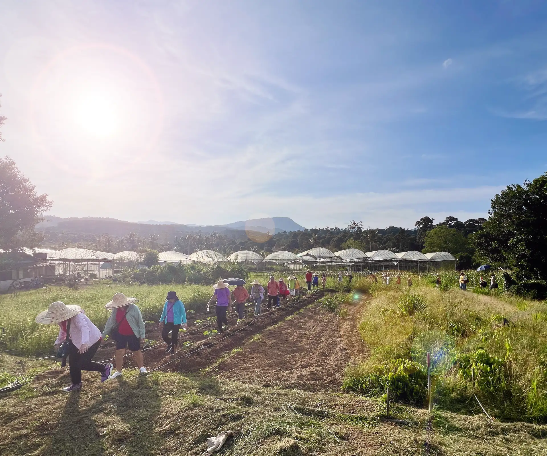 Dining & Farm Experience - Titi Eco Farm